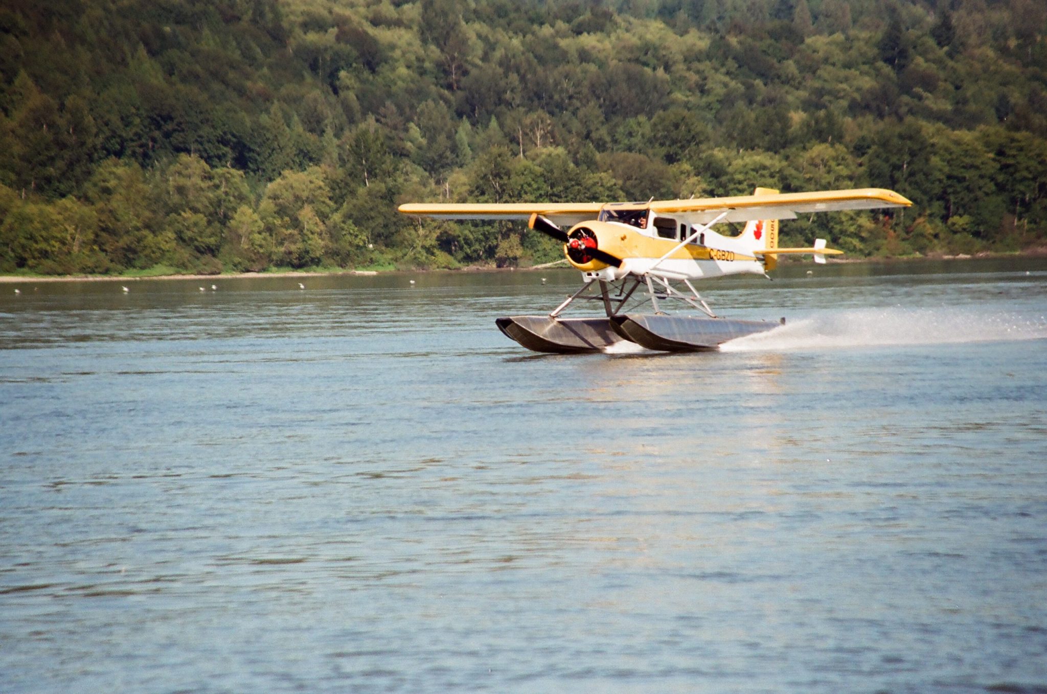 Moose - Murphy Aircraft