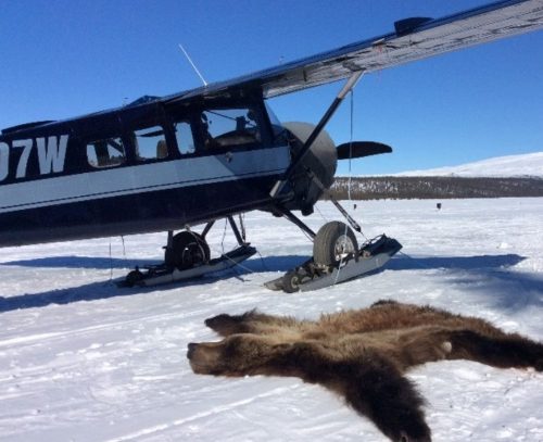 Moose - Murphy Aircraft