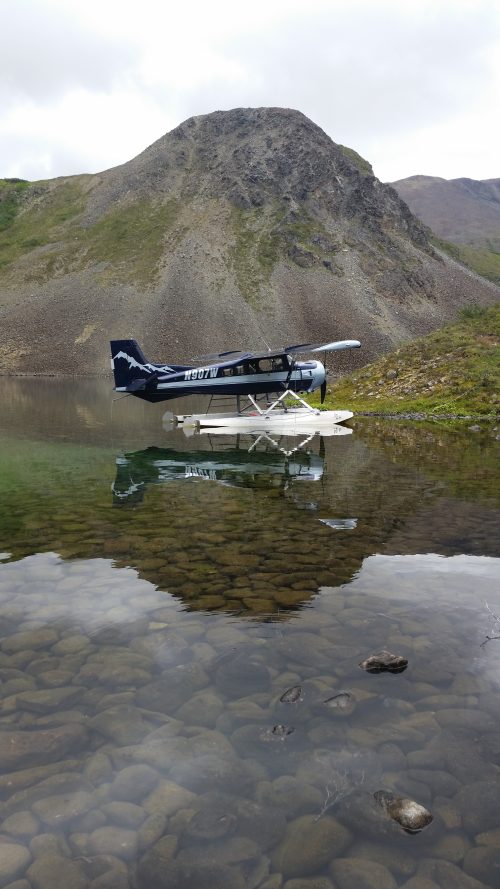 Moose - Murphy Aircraft